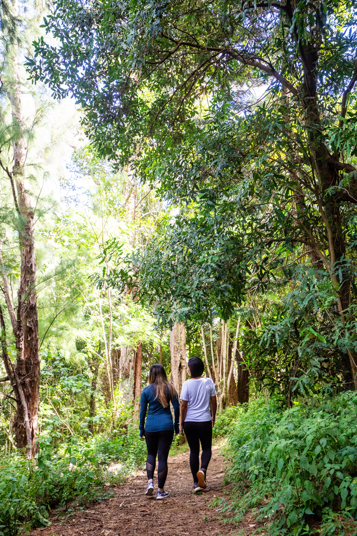 Oahu Itinerary: 4 Days in Waikīkī and 3 Days on the Leeward Coast, O ...