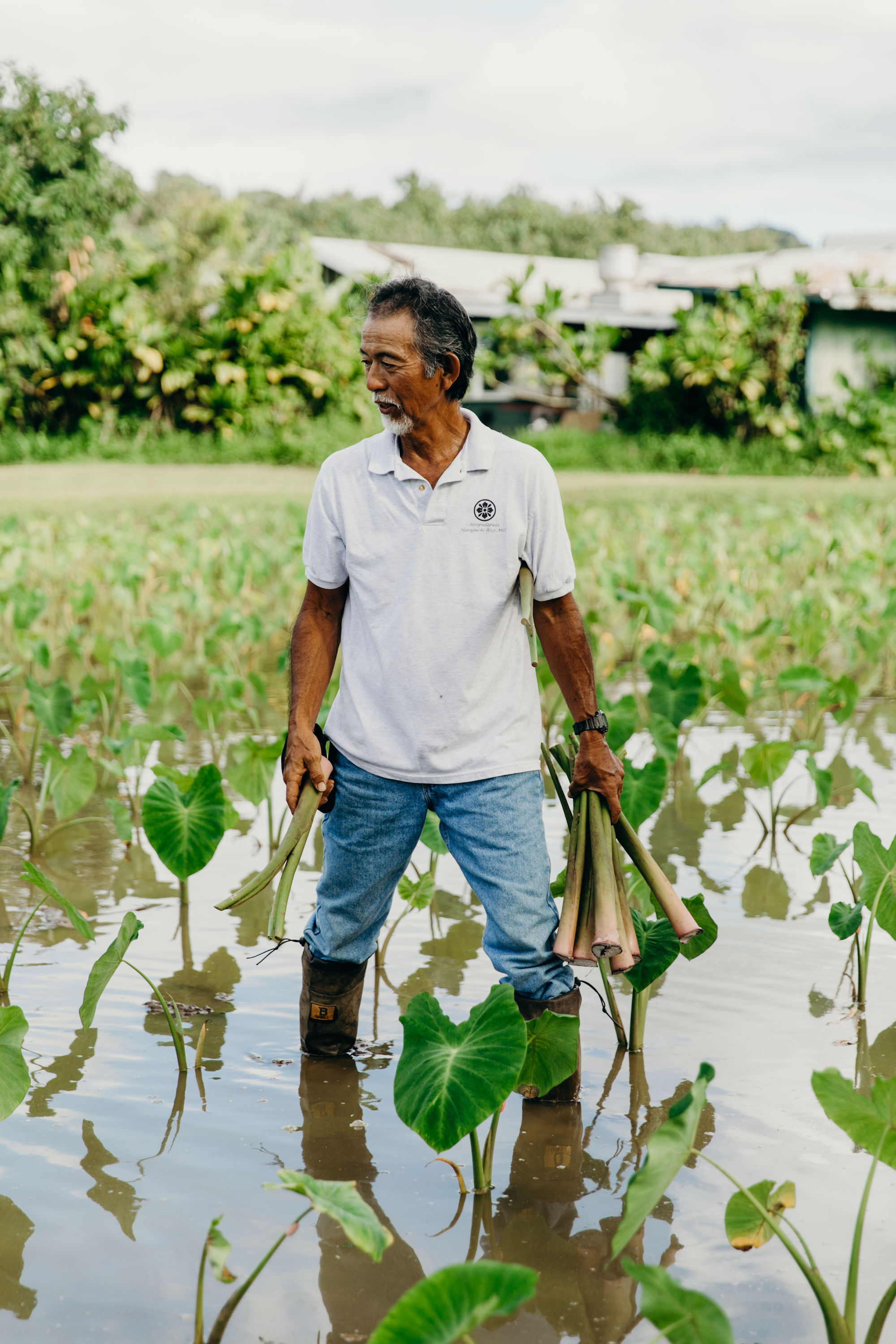 Seeds of Perseverance | Jean & Abbott Properties