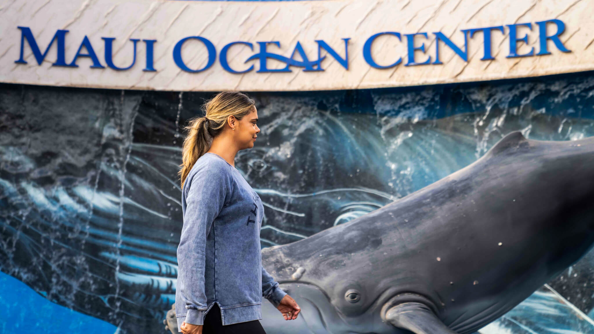 Malama Island of Maui | Go Hawaii