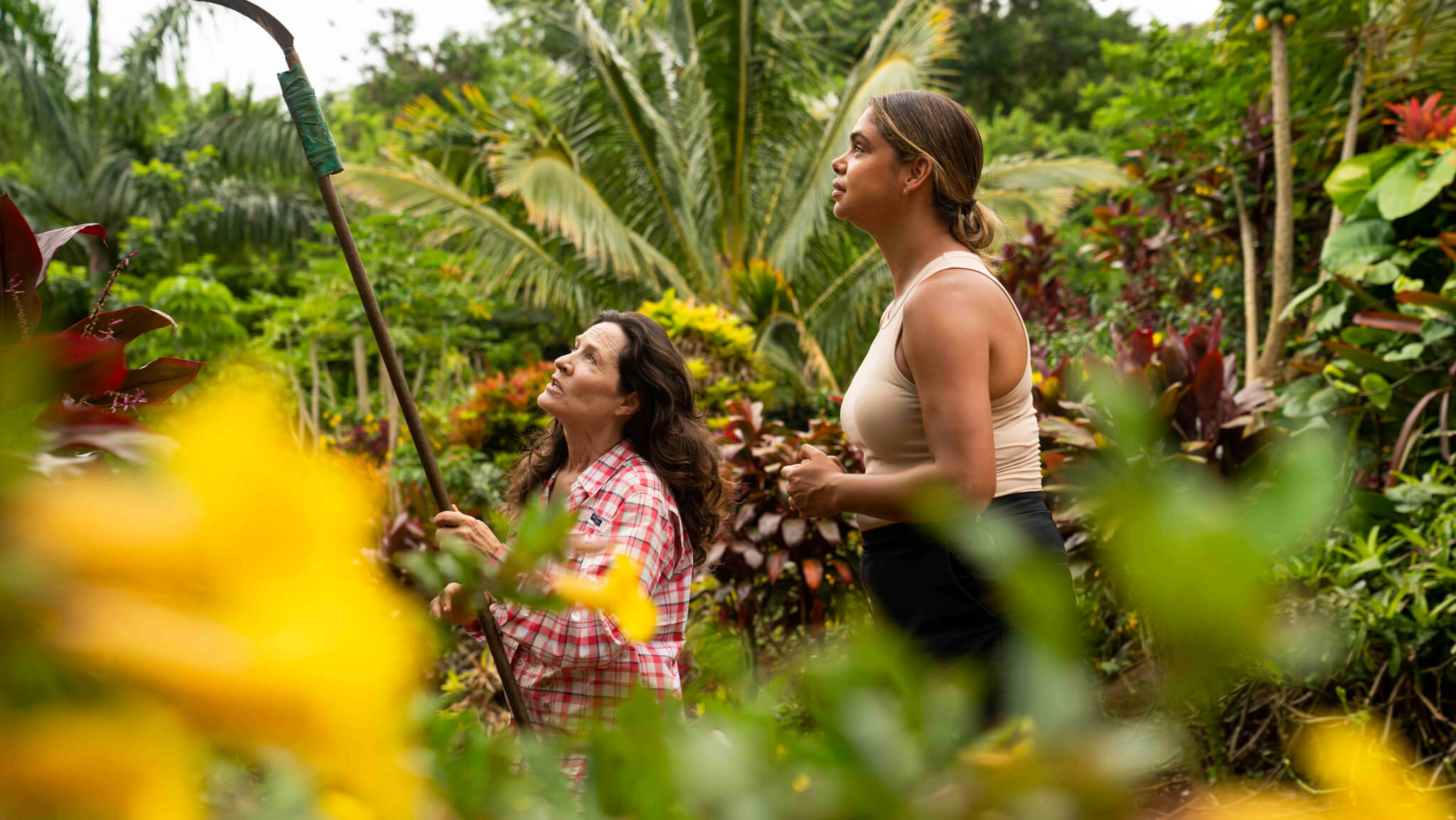 Malama Island of Maui | Go Hawaii