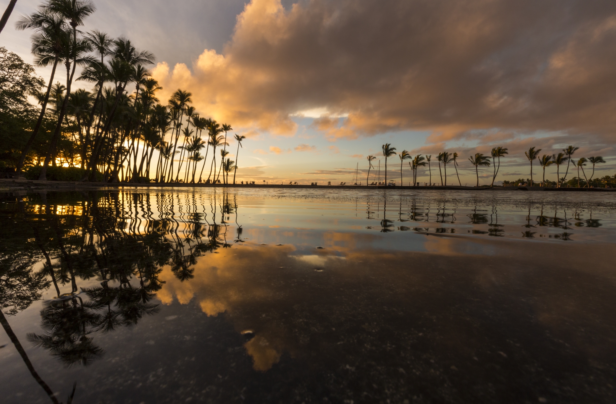 Guide Hawaï : Tout savoir pour votre voyage | Go Hawaii Guide Hawaï : Tout savoir pour votre voyage | Go Hawaii