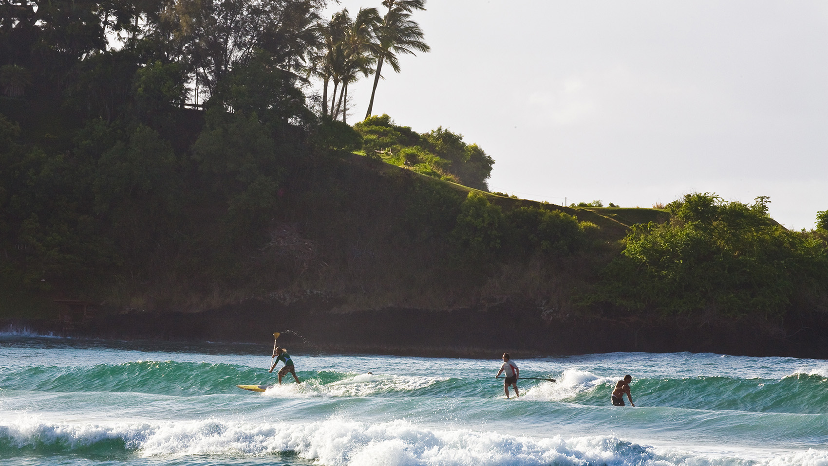 Stand Up Paddling/SUP | Go Hawaii