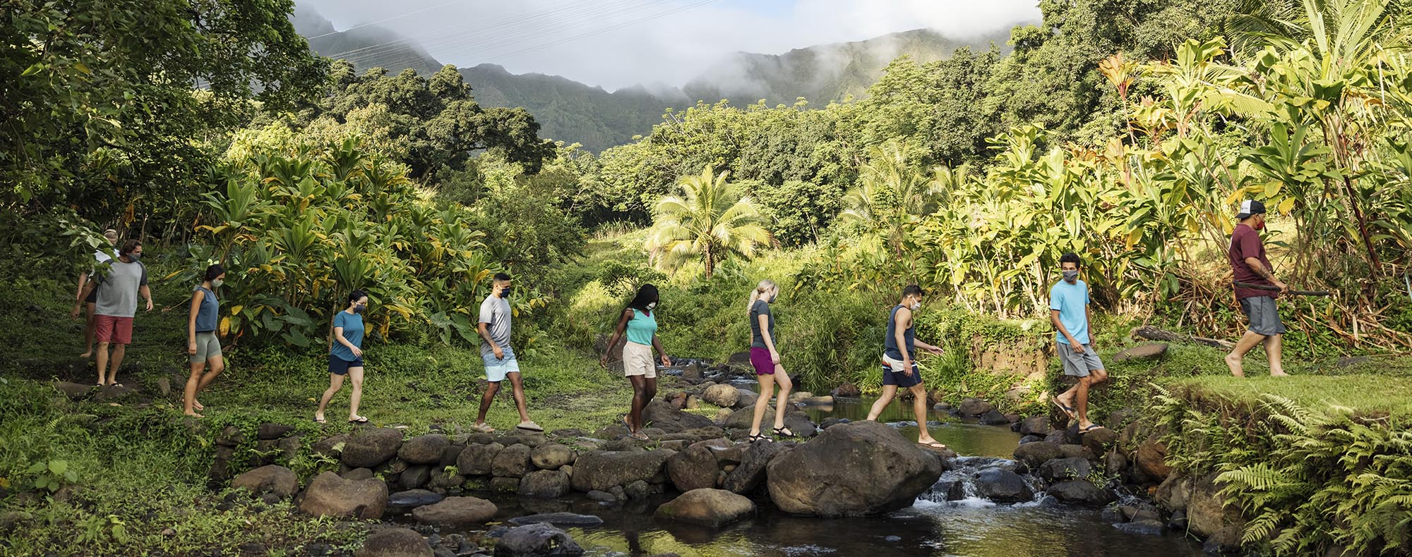 Sustainable Farming | Go Hawaii