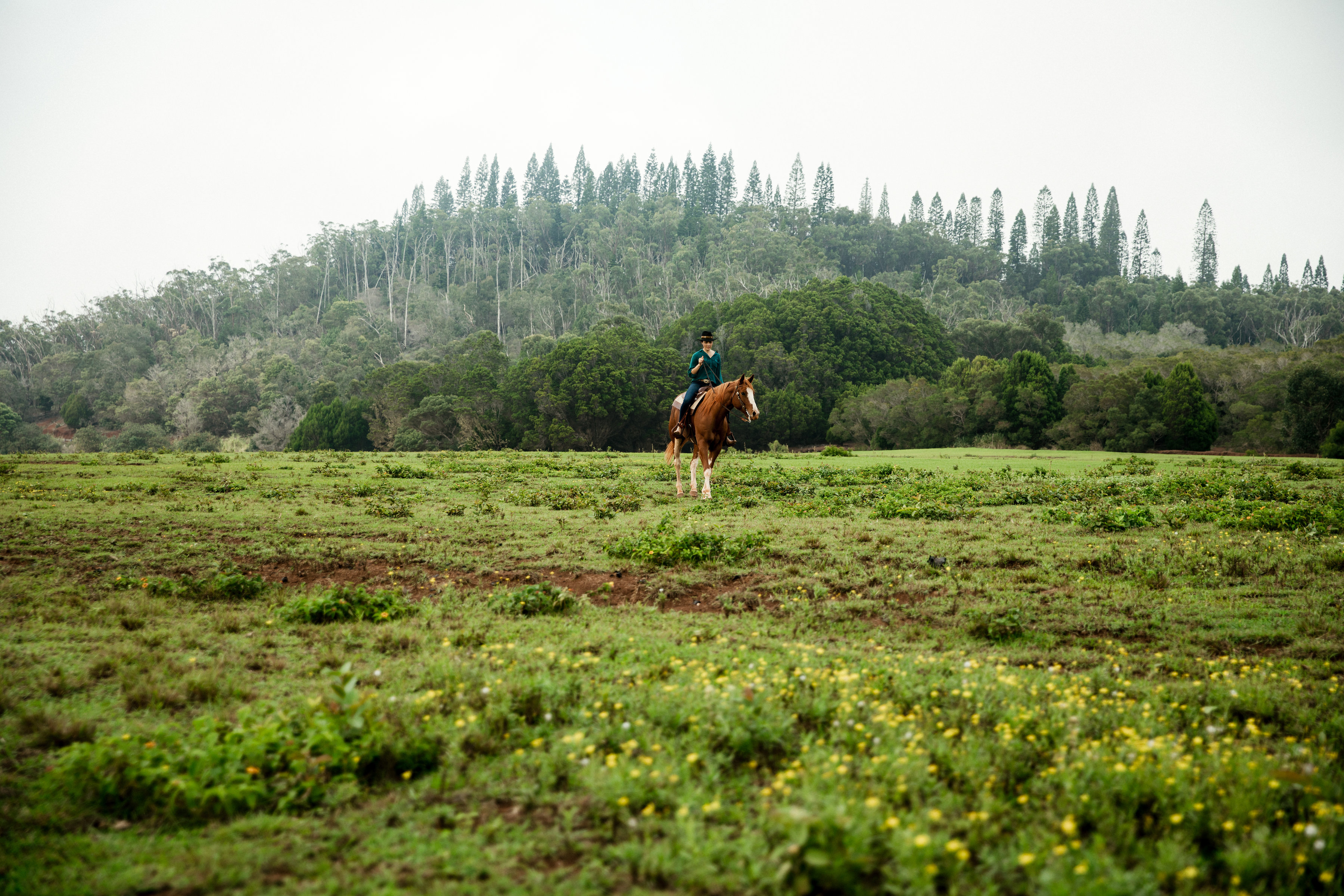 Anela Evans | Go Hawaii