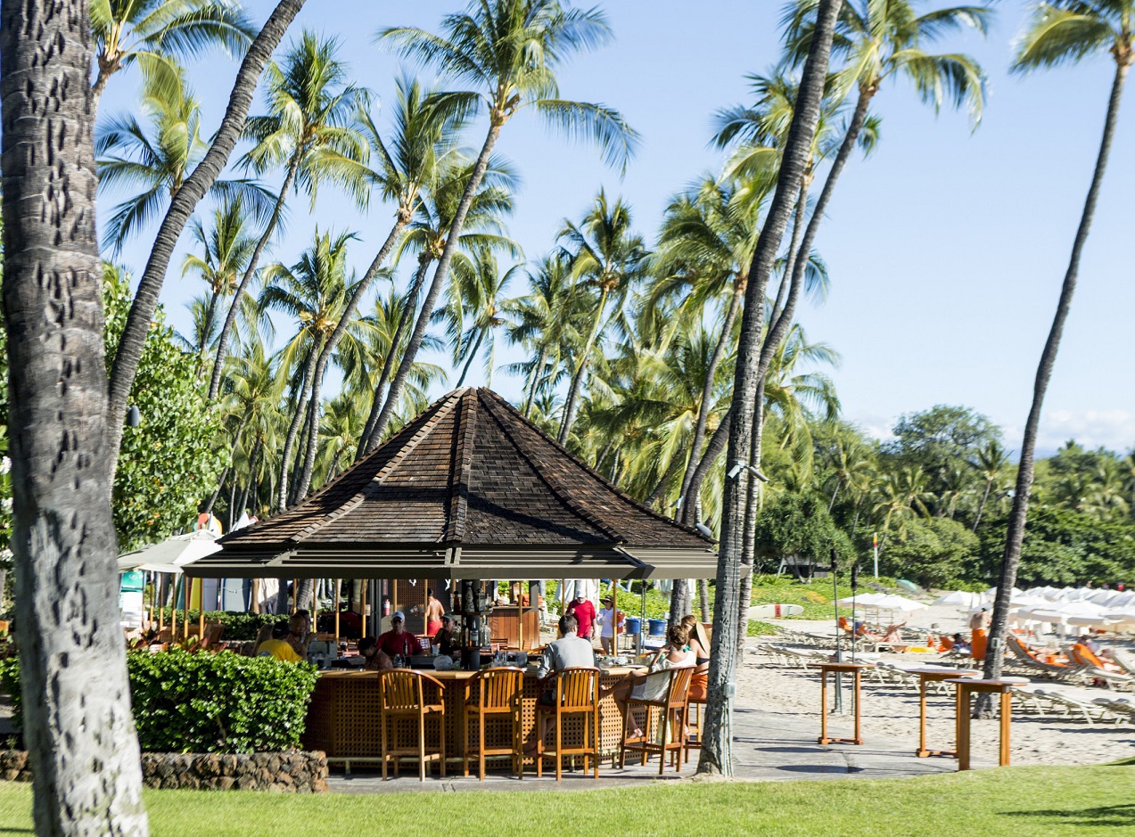 Hau Tree | Go Hawaii