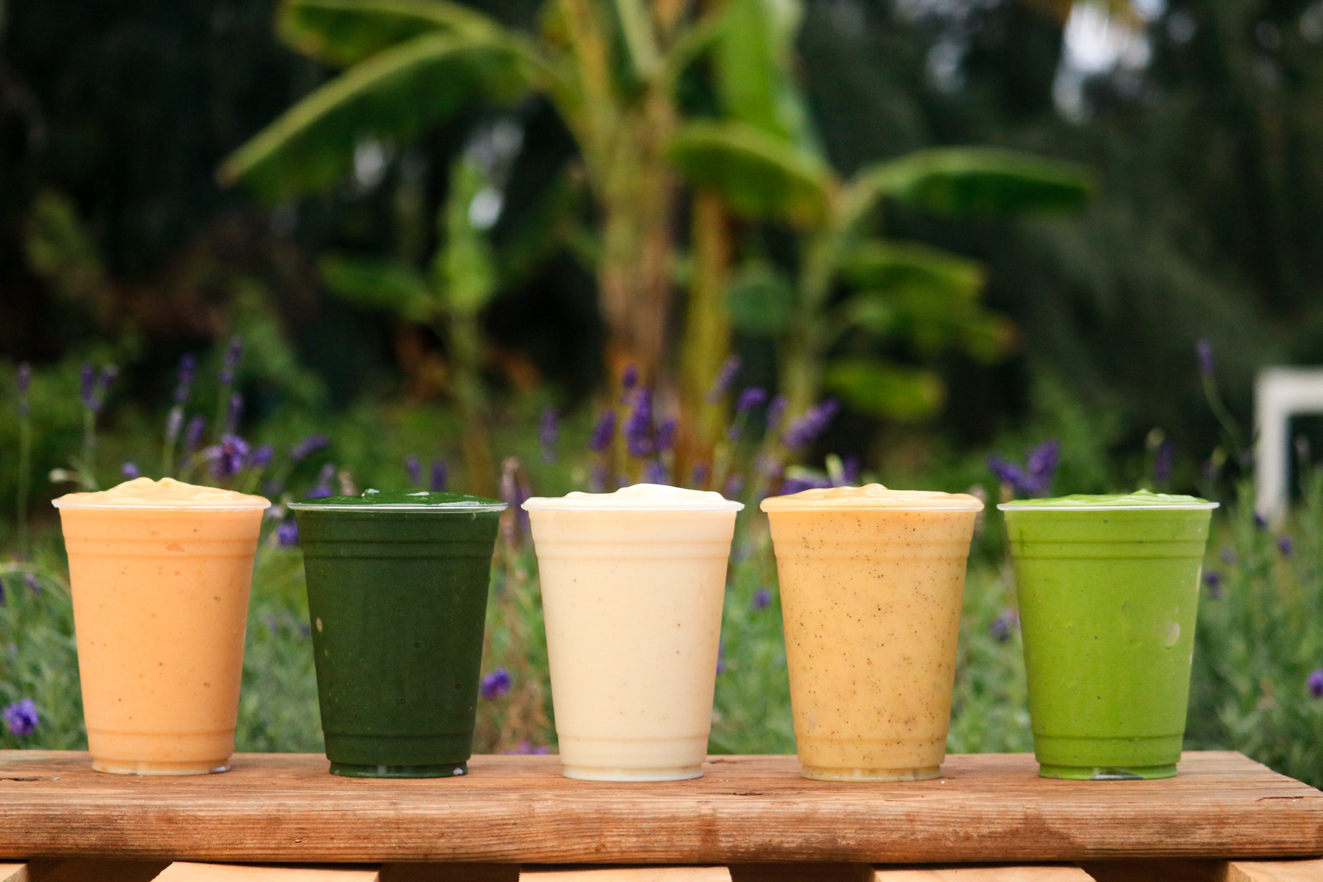 Kahuku Farms | Go Hawaii