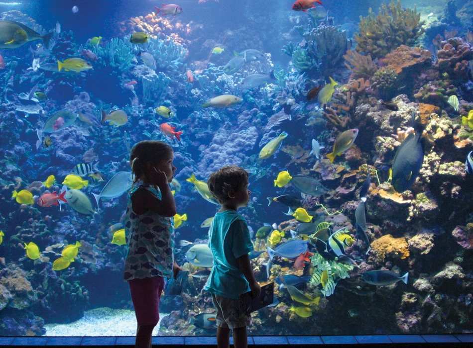 Maui Ocean Center | Go Hawaii