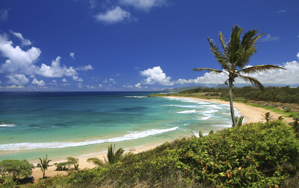 Royal Coconut Coast Association | Go Hawaii