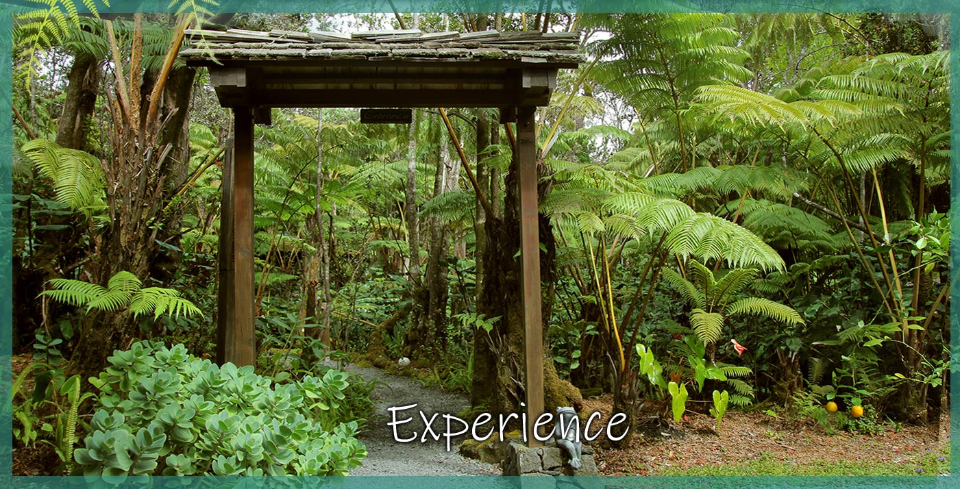 Volcano Rainforest Retreat | Go Hawaii