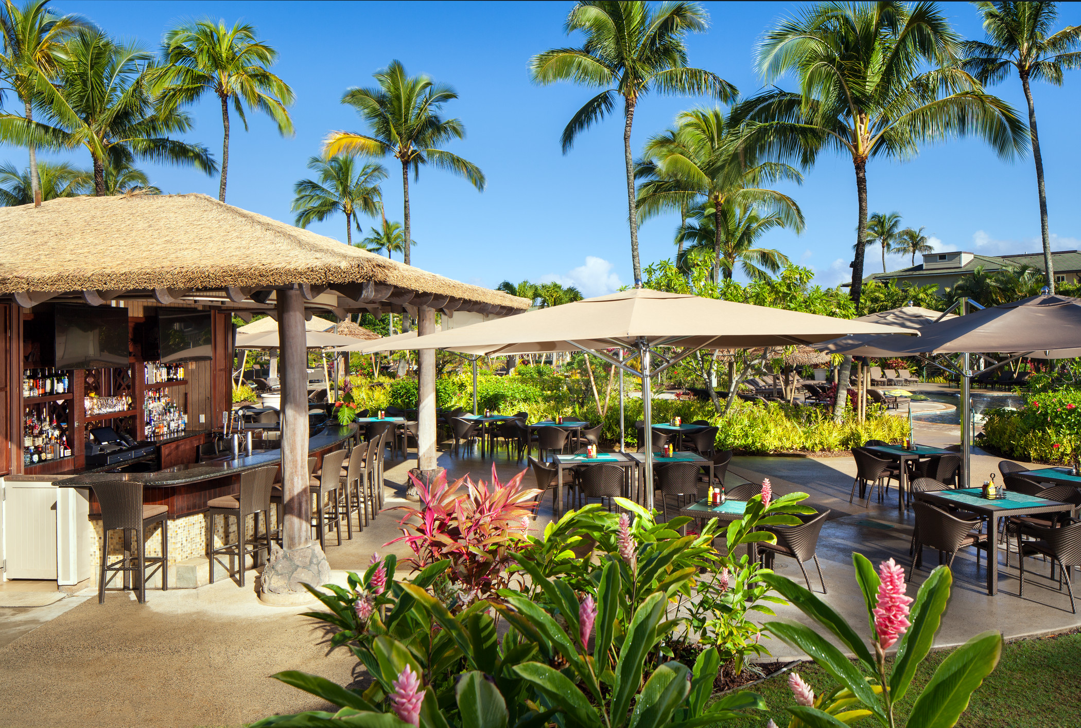 Wailele Bar | Go Hawaii
