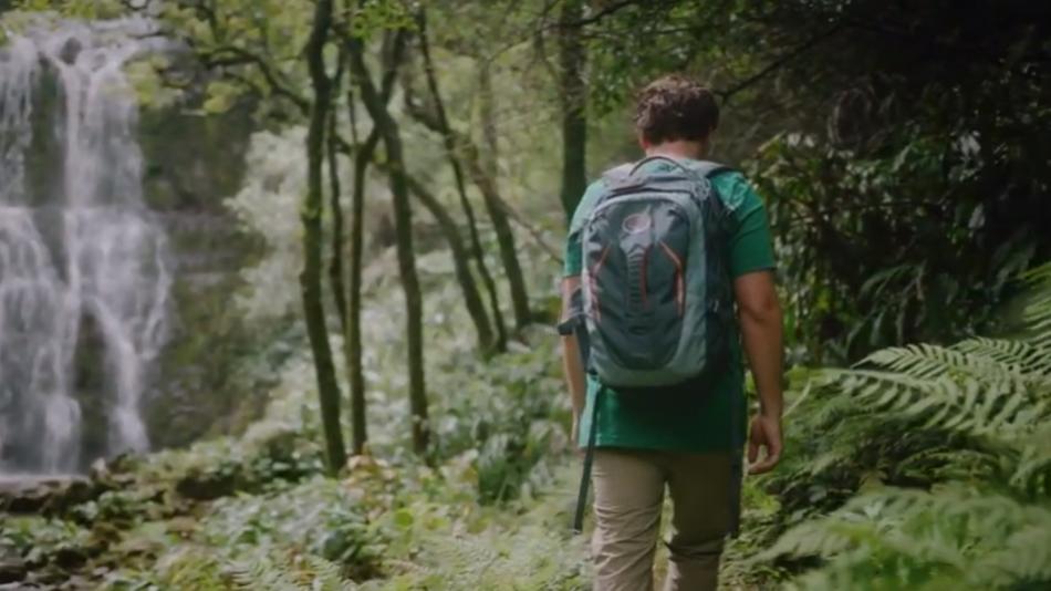 Safety Tips for Hawaiian Travelers | Go Hawaii