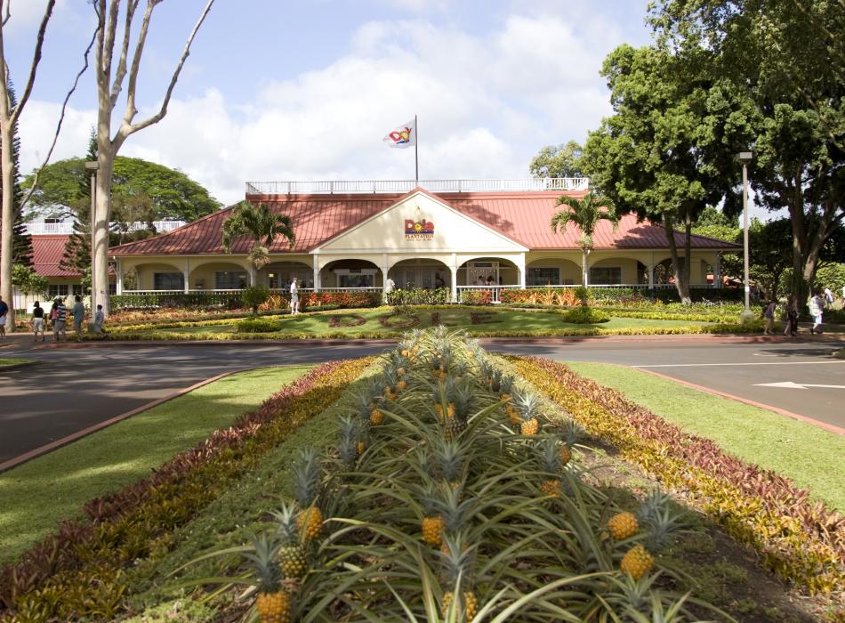 Dole Plantation | Go Hawaii
