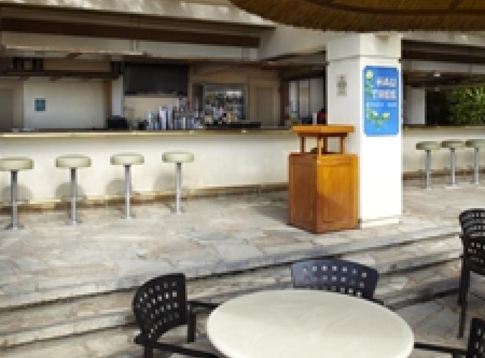 Hau Tree Bar | Go Hawaii