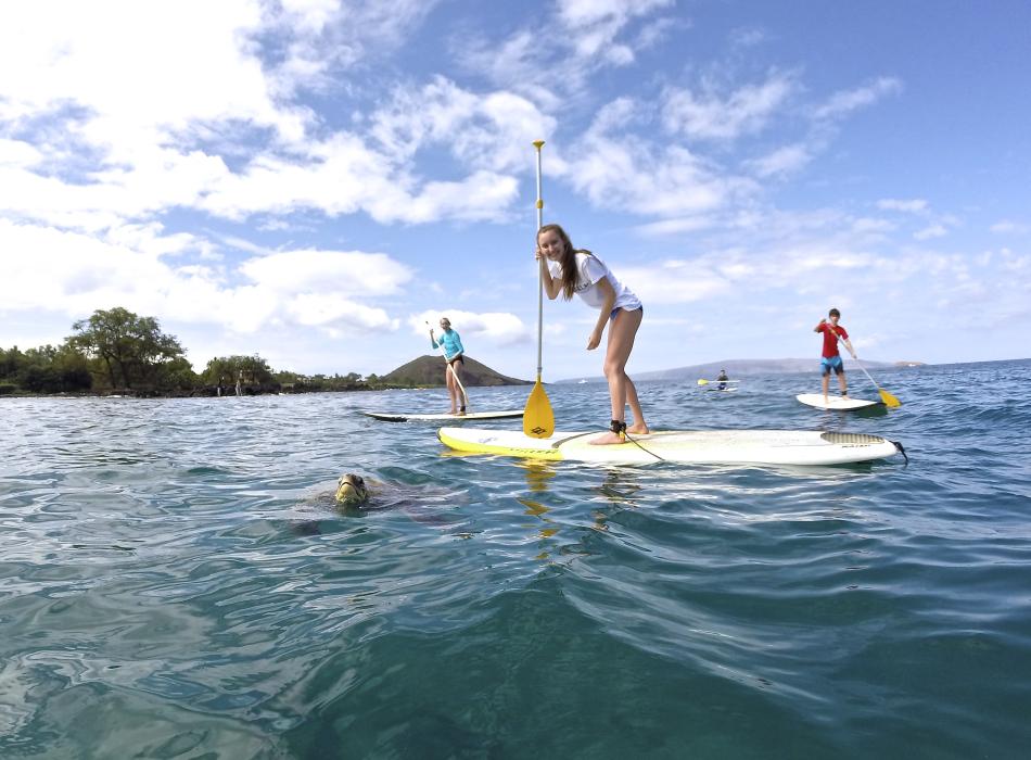 Hawaiian Paddle Sports | Go Hawaii