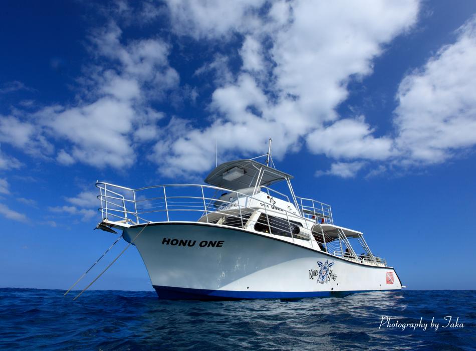 Kona Honu Divers | Go Hawaii