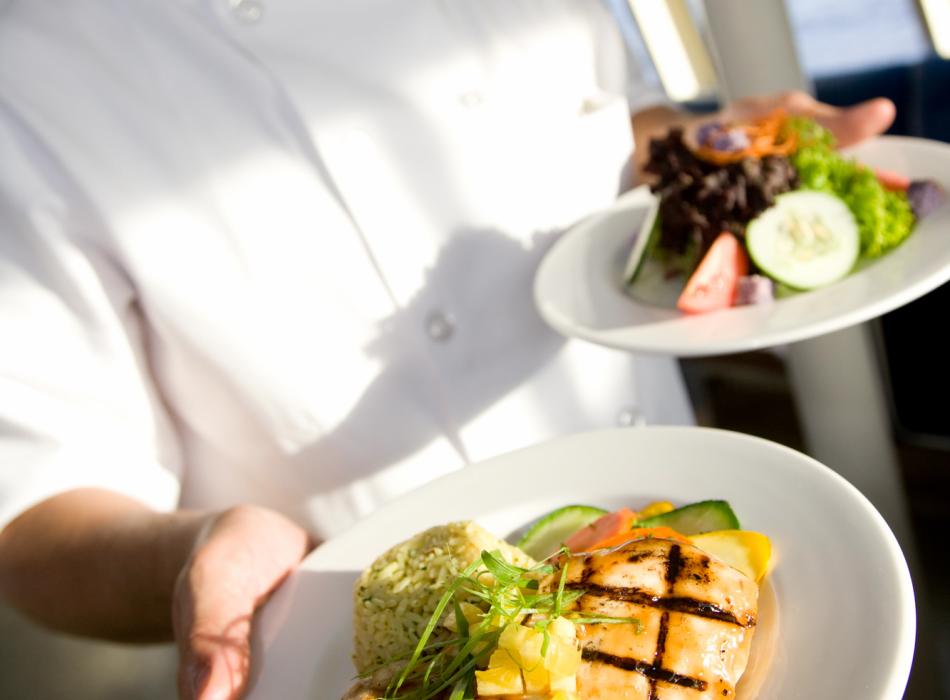 Pacific Whale Foundation | Go Hawaii