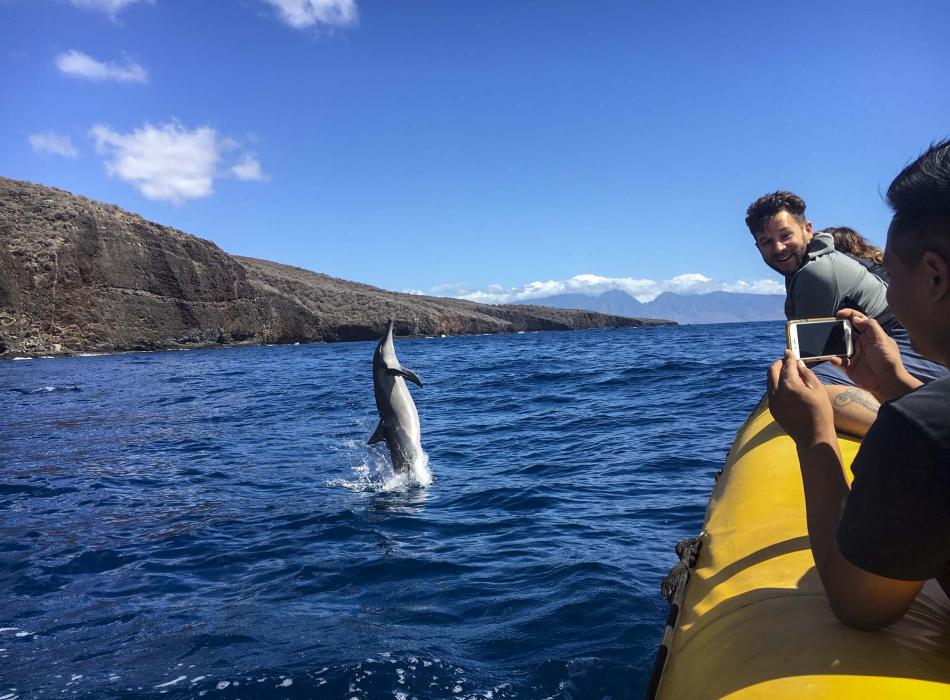 Ultimate Whale Watch and Snorkel | Go Hawaii