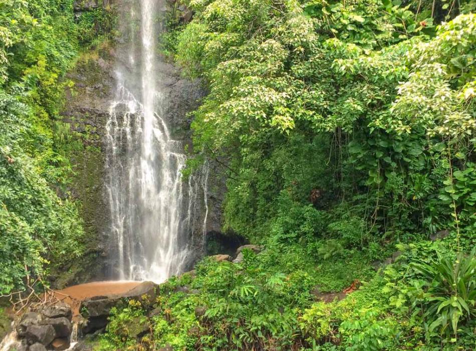 Valley Isle Excursions | Go Hawaii