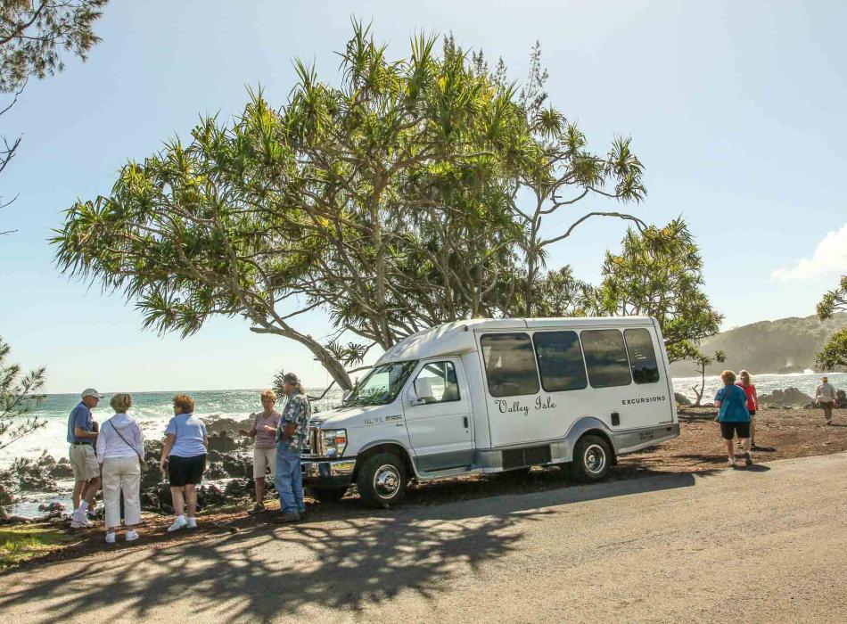 Valley Isle Excursions | Go Hawaii
