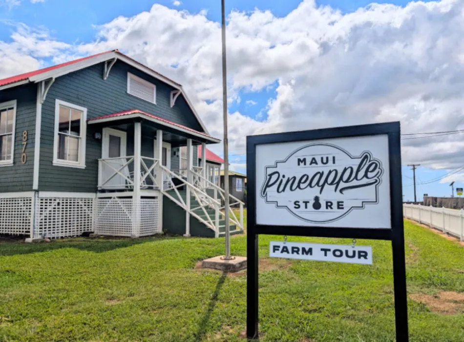 Maui Pineapple Store | Go Hawaii
