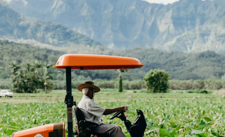 Seeds of Perseverance | Go Hawaii