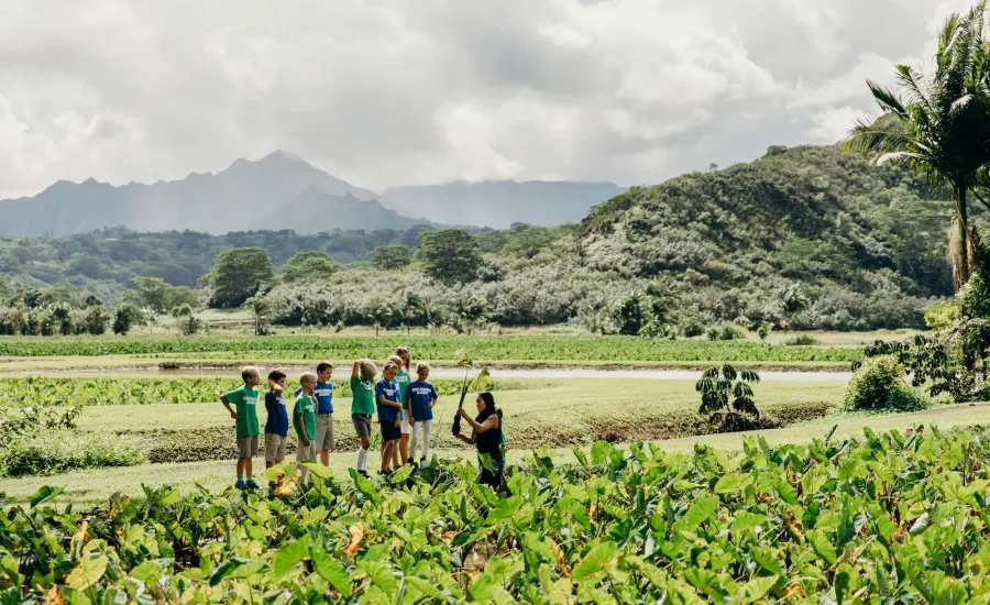 Seeds of Perseverance | Go Hawaii