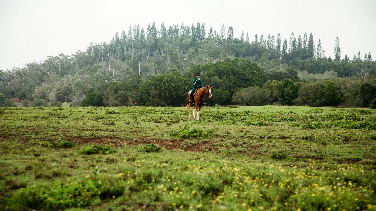 Lanai | Visitor Information | Go Hawaii