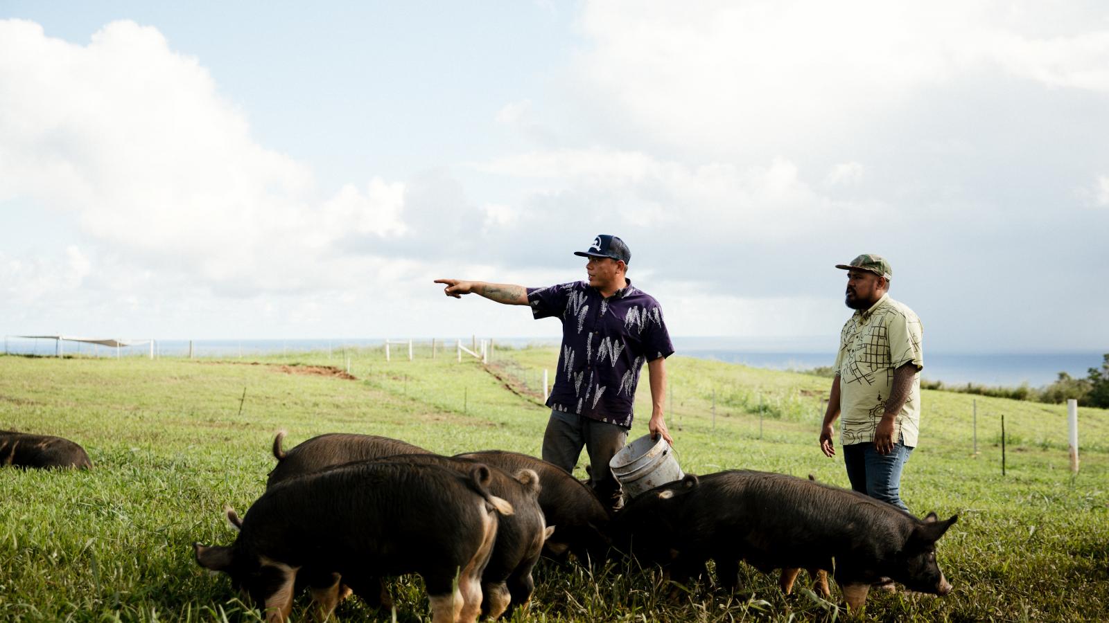 Hawaii Rooted Campaign | Go Hawaii